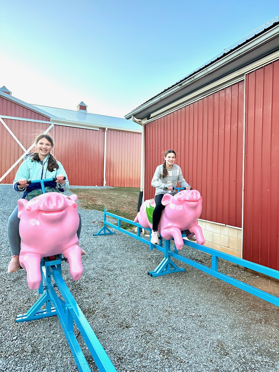 Pig Races Ride-On